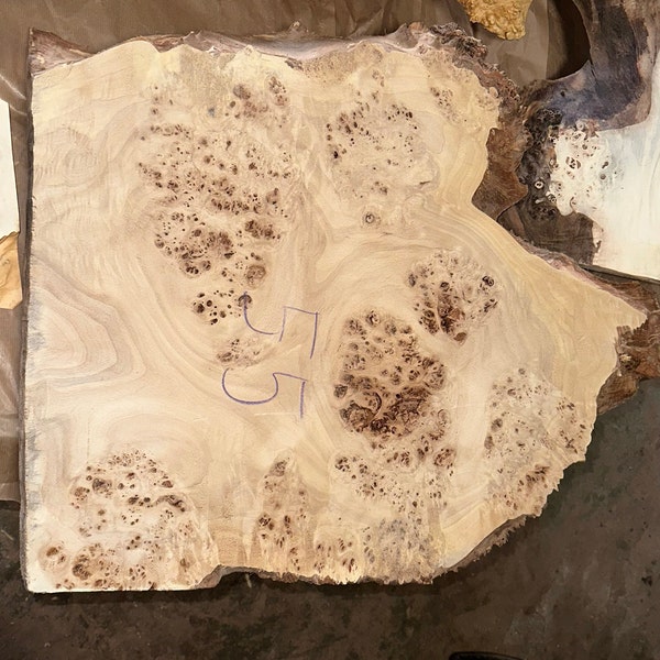 Set of Burl Wood. Burl Wood. DIY Crafts. Dried Burl Slabs. Woodworking ...