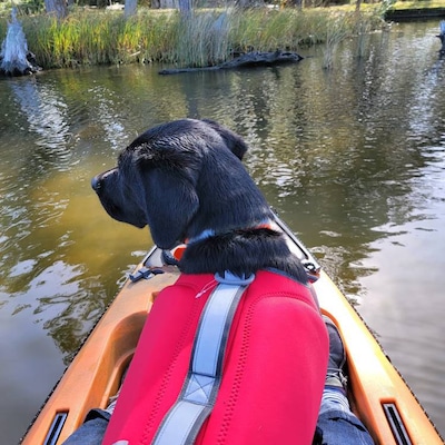 Labrador & Kayak Whirligig Made to Order - Etsy