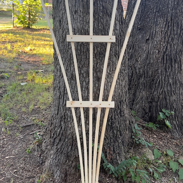 Garden Fan Trellis and Obelisk Plan Bundle / Garden Fan Trellis ...