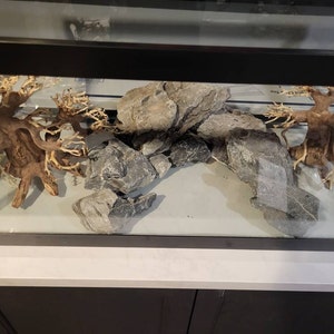 Dwarf Sag Sagittaria Subulata Live - Etsy