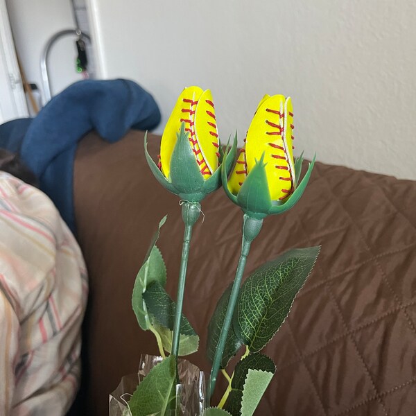 Softball Roses, Sports Rose, Basketball Baseball Soccer Volleyball ...