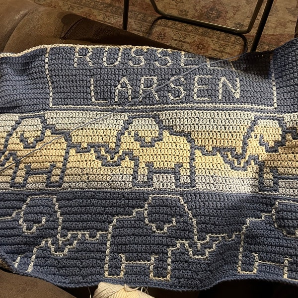 Thunderbird and Saguaro Cactus Mosaic Crochet Patterns - Charts Only - Etsy