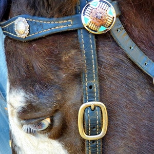 Copper Concho With Orange Crystals 1.5 W119L for Horse | Etsy