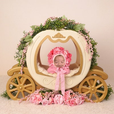 Newborn Digital Backdrop Princess Carriage Face Insert Girl Pink Fairy ...
