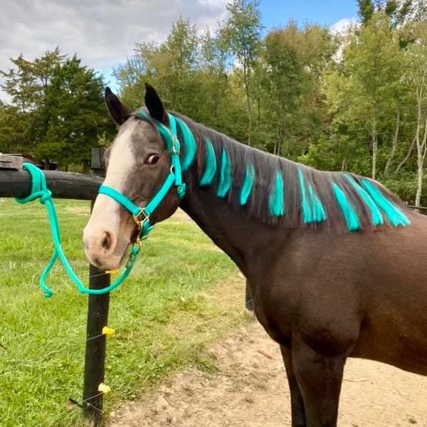 Fauxlock Forelock Extensions for Horses (perfect for Parties, Parades ...