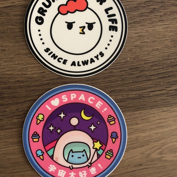 Vinyl Sticker - Commander Kitty Space Program - Etsy