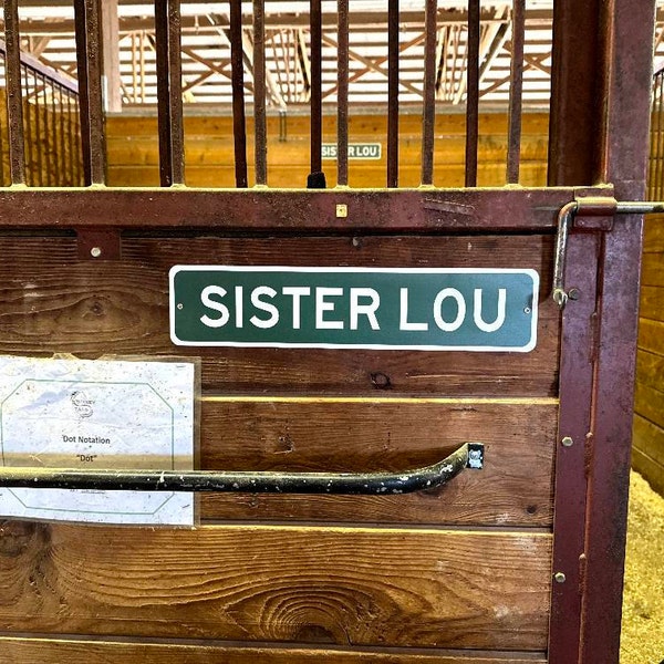 Bobcat, Bobcat Gift, Bobcat Sign, Bobcat Decor, Bobcat Expert,bobcat ...