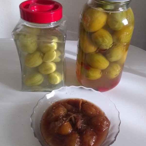 Fresh Dwarf June Plums 5 Lbs- Always Freshly Picked - ** We Are ...