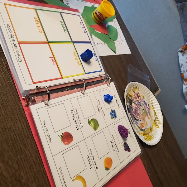 Busy Book, Busy Book Printable, Toddler Busy Book, Learning Book ...
