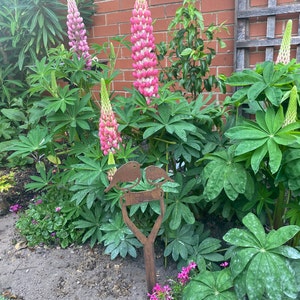 Robin on Spade Garden Decoration / Bird Garden Gift / Rusty Metal Robin ...