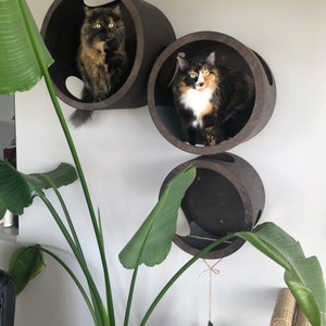 SET HOUSES for CATS Modern Cat Furniture Gift for Cat Lover - Etsy