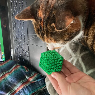 Pin Sensory Toy Fidget Toys - Etsy