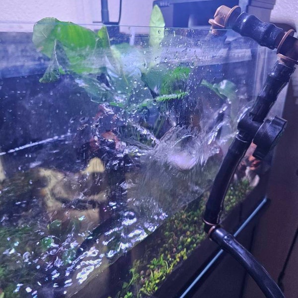 Under Gravel Aquarium Cave: Nano Fish & Shrimp Hideout (6.75"l X 4.5"w ...