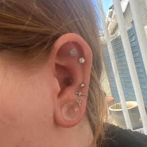 Narra Wood Fake Gauge Pincher for Pierced Ears FREE - Etsy UK