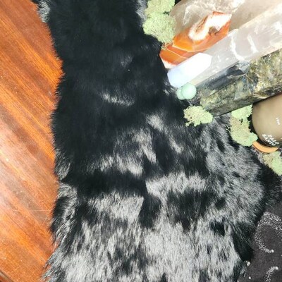 Large Raccoon Penis Bone Arkansas Toothpick Baculum Love - Etsy