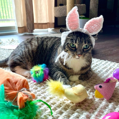 Bunny Rabbit Ear Hat for Cats - Etsy