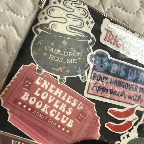 Bookish Pillow | Reading Pillow | Pillow for Book Nook | Reading Room ...