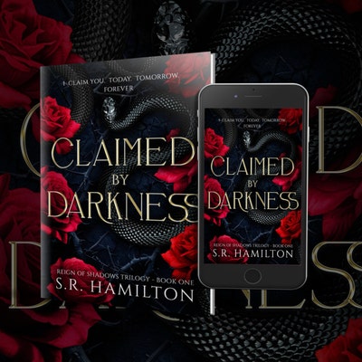 Devil Rolls His Dice, Mafia Romance, Dark, Bully, Gambling, RH ...