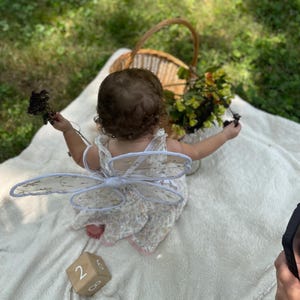 Pixie Wings Blue Fairy Wings Flower Fairy Wings Lace Fairy Wings Kids ...