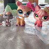 LPS Littlest Pet Shop Kitten Cat 1301 stains Hasbro Authentic - Etsy