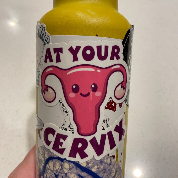 Polly Pocket Sticker Bundle Nineties Nostalgia Toy Sticker Millennial ...