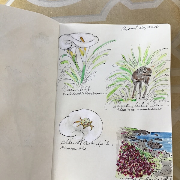 The Perfect Extra Large Sketchbook for Artists - 160 Page 8.5x11.25 ...