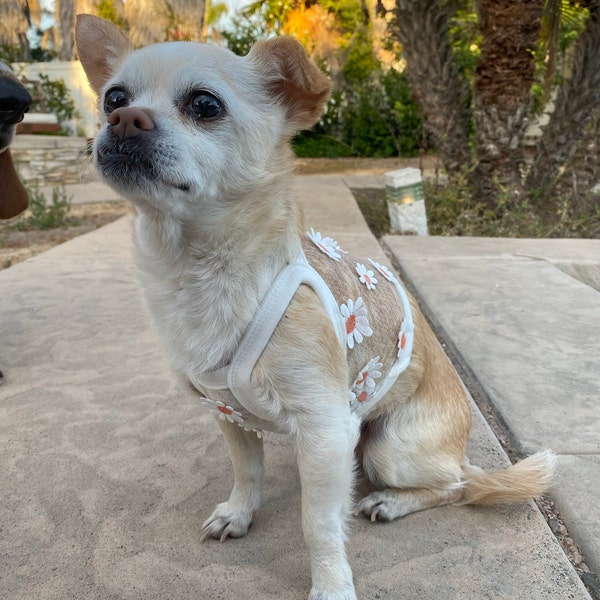 Daisy Chiffon Crop Top, XS-2XL, Dog-shirts Dog Top, Dog Clothing, Dog ...