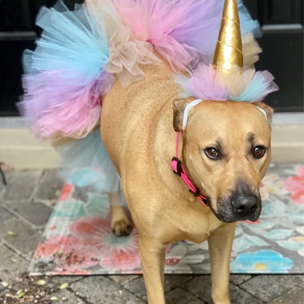 Unicorn Dog Costume: Horn Handmade, Cute, Rainbow, Fluffy Princess Dog ...