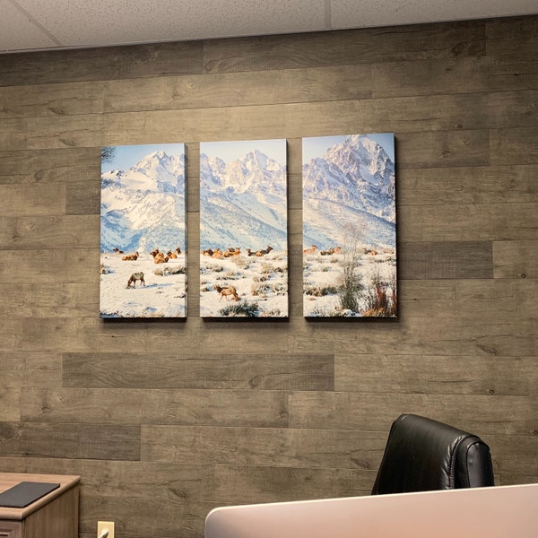 Custom Photo Canvas Split, Panoramic 3-panel Wall Art - Etsy
