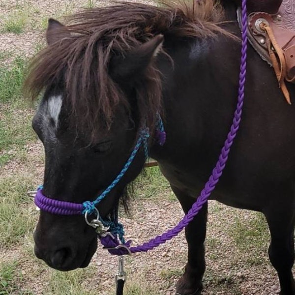 Custom Halter and Mecate Rein Set, Custom Mecate Reins, Mecate Training ...