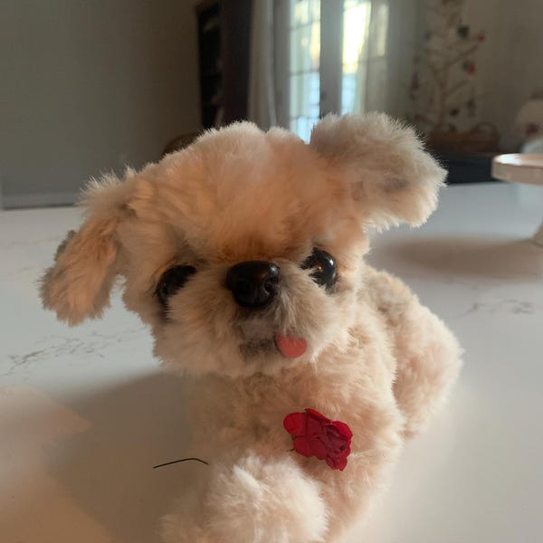 Custom Poodle Toy Plush - Handmade Realistic Dog Replica, Personalized ...