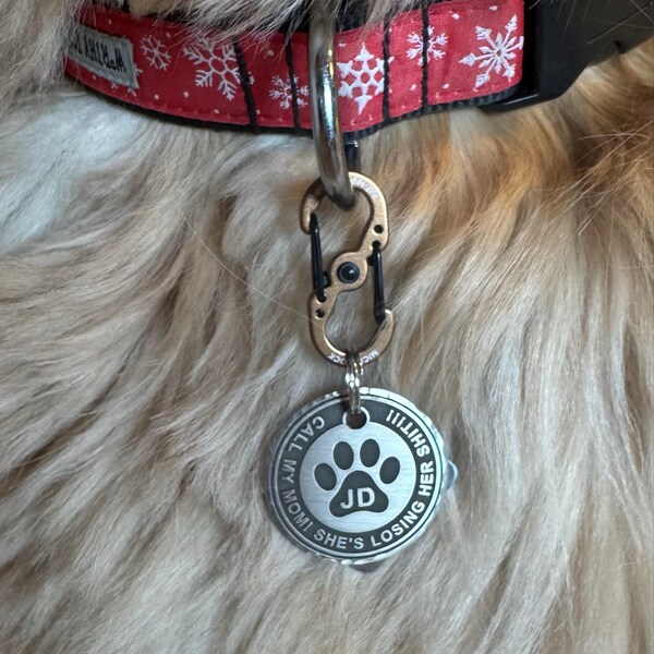 Luna Dog Tag, Pet ID Tag, Personalized Dog Tag, Microchip Pet Tag ...