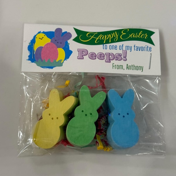 Mini Bunny Peeps Sidewalk Chalk Easter Basket Stuffers - Easter Egg ...