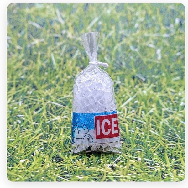 Miniature Bag of Ice,1:12 Scale Dollhouse Ice,miniature Picnic ...
