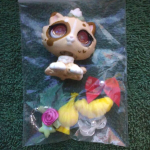 Shorthair 815 Custom LPS Paint Cat Littlest Pet Shop - Etsy
