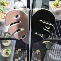 Plant Trellis Cebu Blue Pothos Plant Art Plant Decor - Etsy Canada