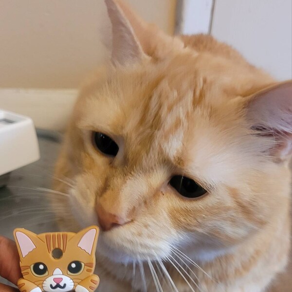 Cat Key Cover/ Key Identifier - Etsy