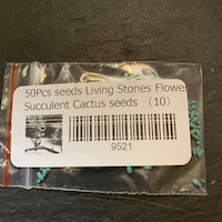 50pcs Seeds Living Stones Flower Succulent Cactus Rare Succulent Seeds ...