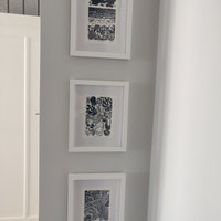 Shell Collection Original Limited Edition Lino Print, Linocut Print ...