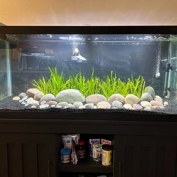 4-5lbs River Rocks Colorful Stones Smooth Aquarium Rocks Terrarium ...