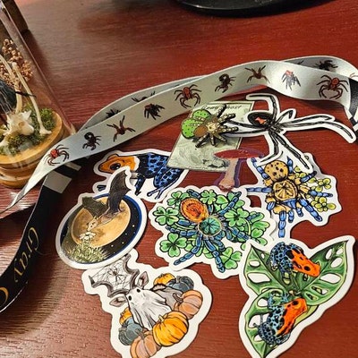 Velvet Spider Sticker 3.5 Inch Glossy Sticker Ladybird Spider Insect ...