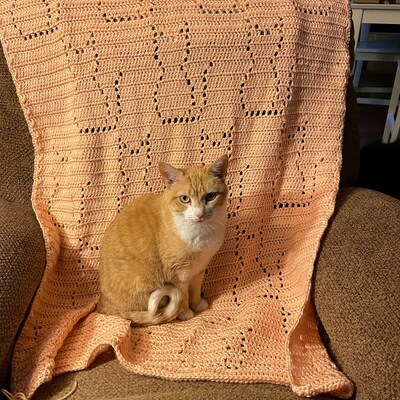 Filet Crochet Blanket Pattern Baby Blanket Crochet Pattern Filet ...