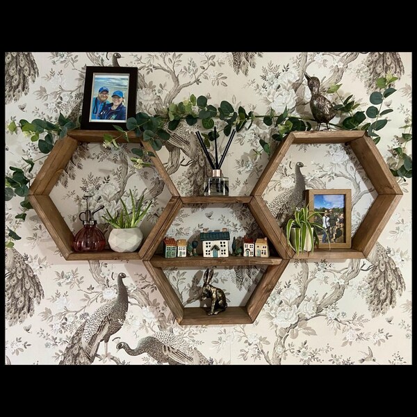Set of 3 Hexagon Shelves - Hexagon Shelf - Geometric Shelf - Plant ...