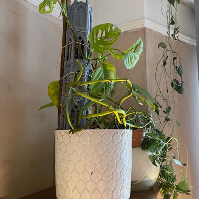 Gothic Tower Stackable Moss Pole Stls for 3D Printing, Plant Totem ...