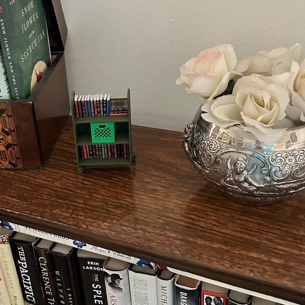 1/6 Scale 3 Shelf Mini Library Cart/ Mini Brands Books / Mini Books ...