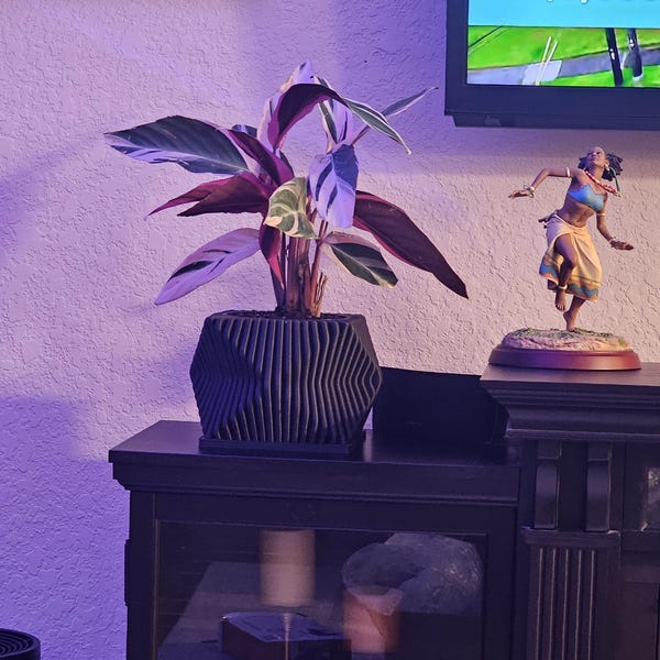 Indoor TIDE Planter, 9 Color Options, Unique 3D Printed Plant Pot With ...