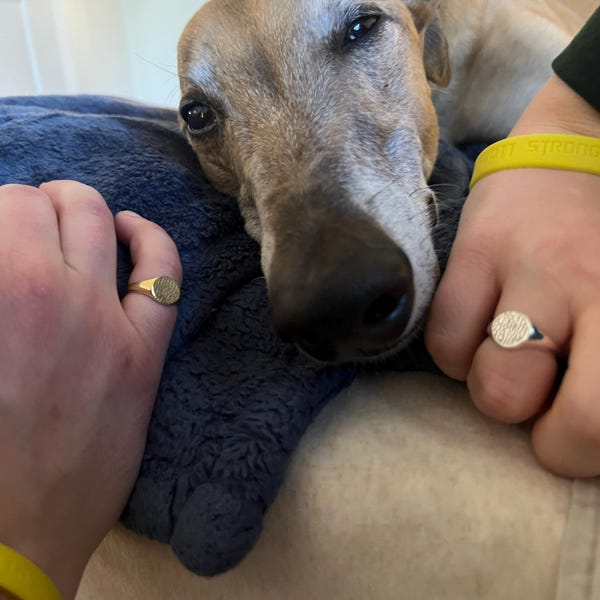 Signet Ring Custom • Pet Paw Signet Ring • Custom Pet Ring • Dog Paw ...