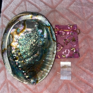 Large Abalone Shell, Colorful Abalone Shell, Natures Painting in a ...