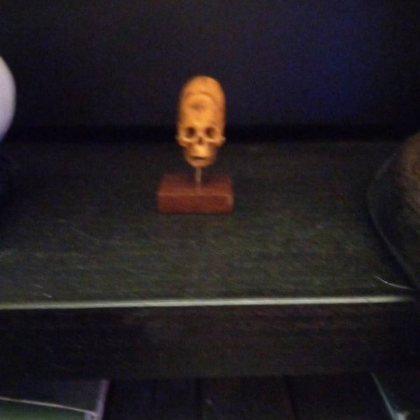 PARACAS ELONGATED SKULL Miniature. Cranial Deformation From Peru for ...