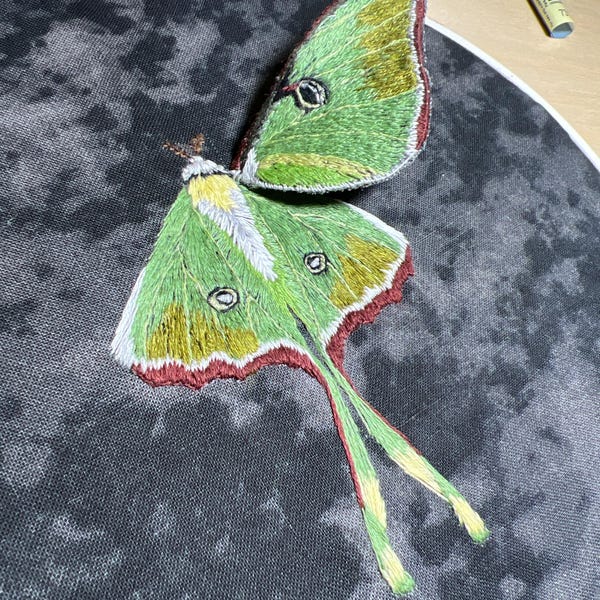 Moth Embroidery Design, Thread Painting Embroidery Pattern, Insect ...